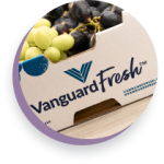 About us | Vanguard Group International