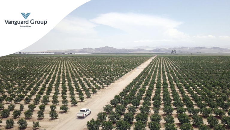 Vanguard Group International marks a milestone in its history ...
