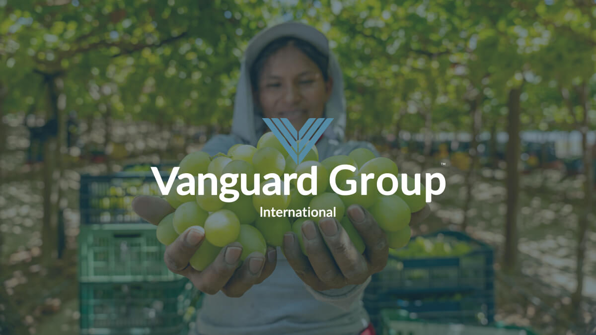 Vanguard Group International | High quality fresh produce
